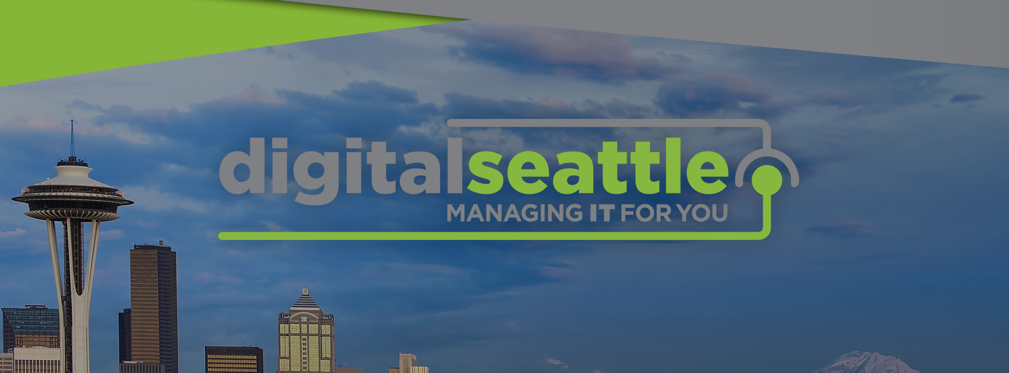 Digital Seattle @ MSP Database