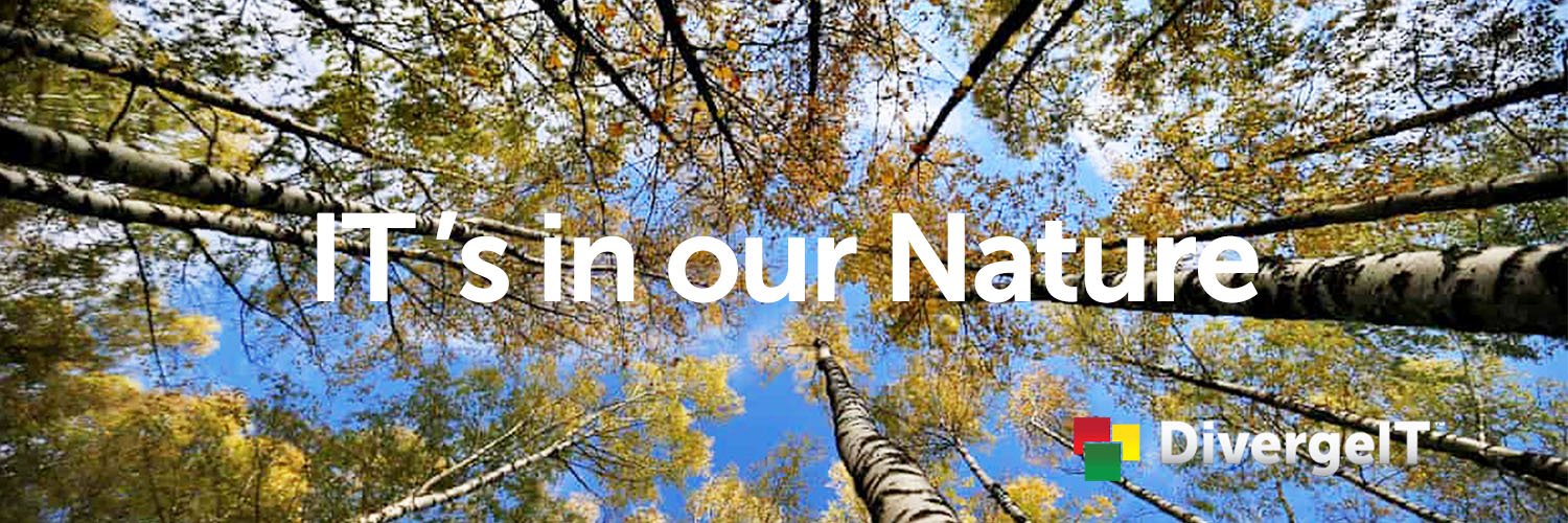 DivergeIT @ MSP Database