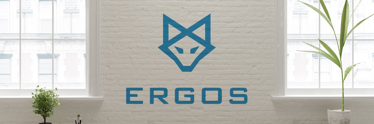 ERGOS Technology Partners @ MSP Database