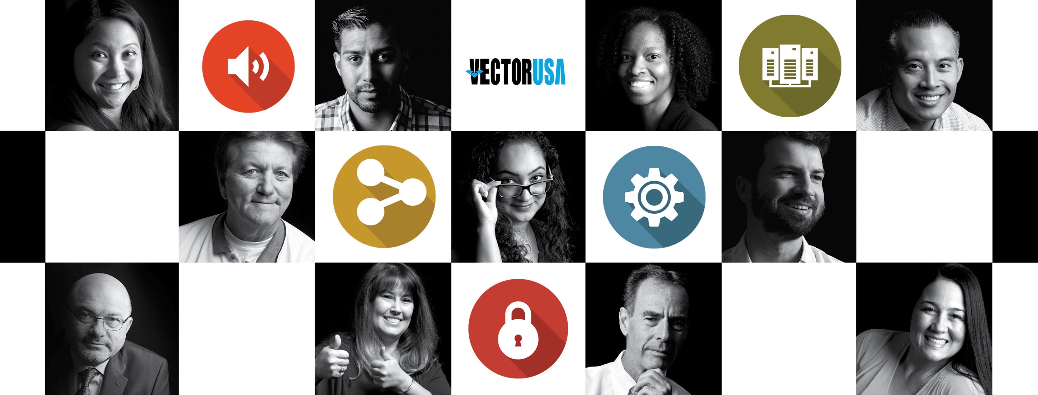 VectorUSA @ MSP Database